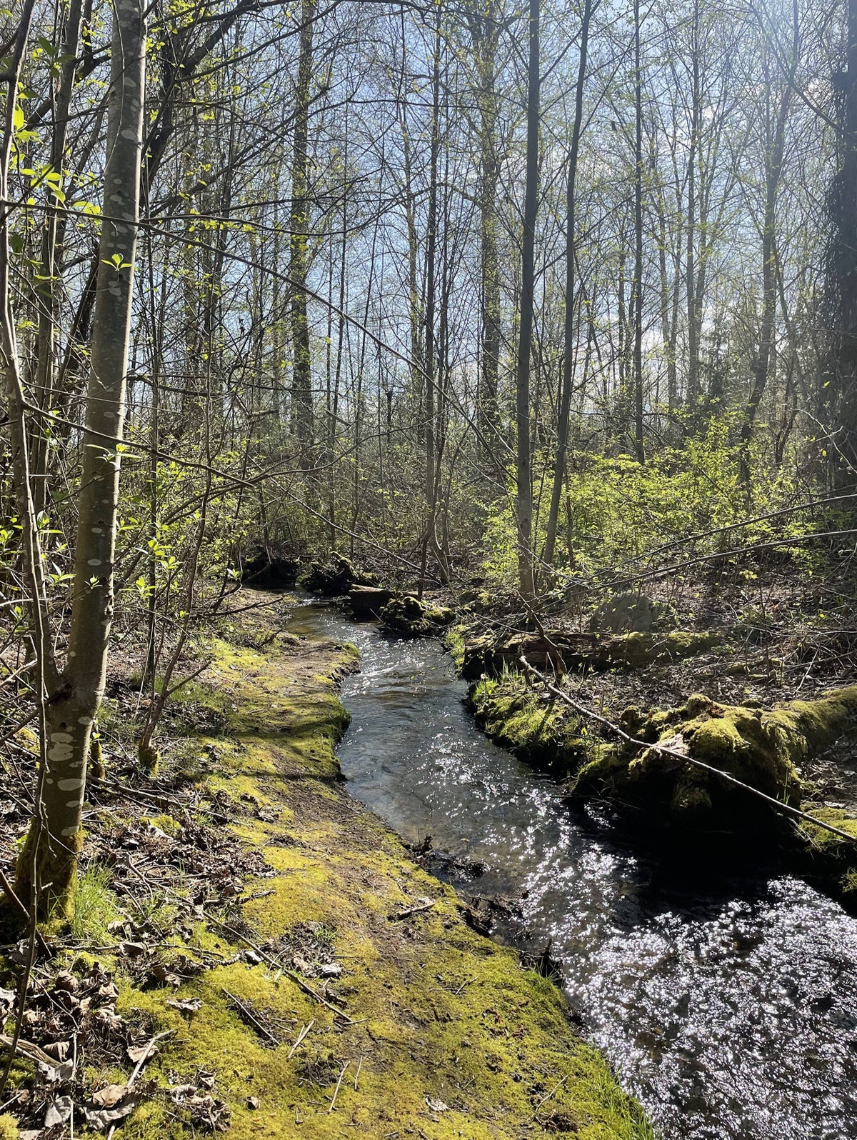 About | Adopt A Stream Foundation